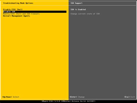 Enable Ssh Access On Vmware Esxi 55 Manoj Agarwal