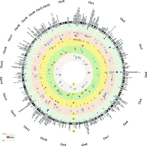 Significant Degs Across The Five Transcriptomic Profiles Corresponding