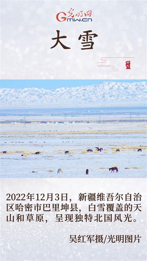 大雪 岁寒听雪落 浮世有清欢 冬日 节气 中国