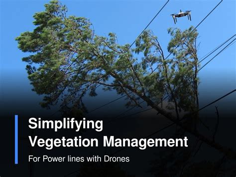 Simplifying Vegetation Management For Power Lines With Drones