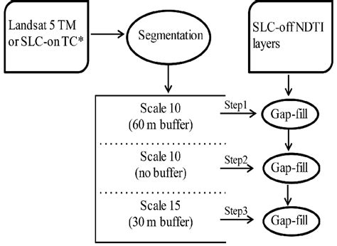 Flow Diagram Of The Multiscale Object Based Approach Tc First Three