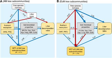 Generalized Multilevel Path Models Indicating The Direct And Indirect Download Scientific