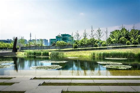 Edificios Modernos En El Parque De La Ciudad Foto Premium