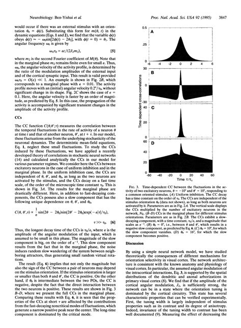 Theory Of Orientation Tuning In Visual Cortex Abstract Europe Pmc