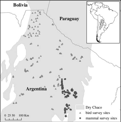 Figure 1 From How Do Habitat Amount And Habitat Fragmentation Drive Time Delayed Responses Of