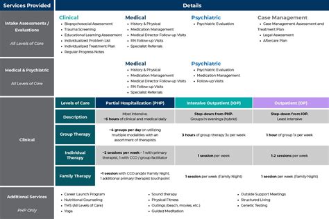 Mental Health Programs Sylvia Brafman