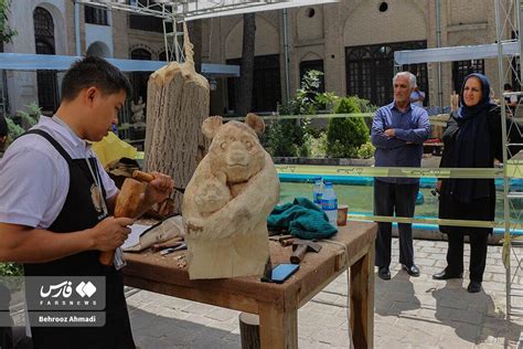 تصاویر روز جهانی چوب در کرمانشاه سایت انتخاب