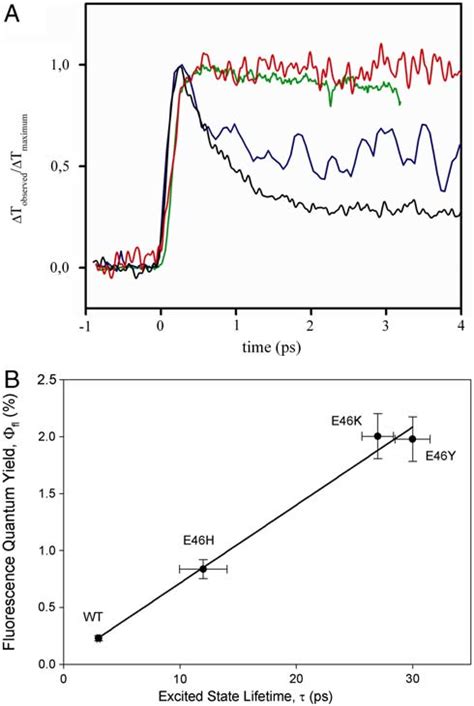 Correlation Of Excited State Lifetime And Fluorescence Quantum Yield Φ Download Scientific