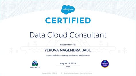 Nagendra Babu Yeruva ☁ On Linkedin Salesforce Datacloud