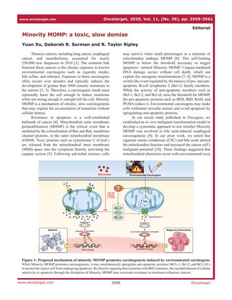 Pdf Minority Momp A Toxic Slow Demise