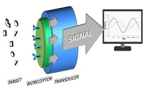 Biosensor Types Interfacing Characteristics Its Applications