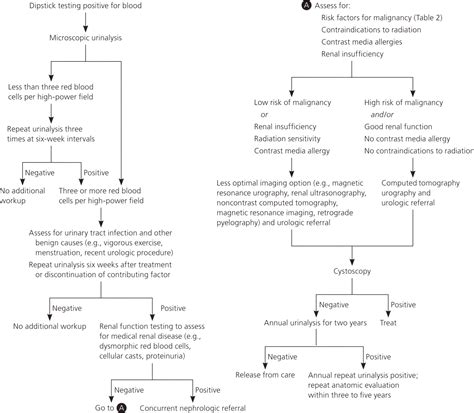 Assessment Of Asymptomatic Microscopic Hematuria In Adults Aafp