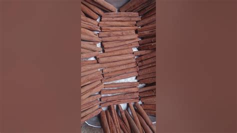 මෙන්න වගා කරන්න හොඳම දේවල් Here Are The Best Things To Grow Cinnamon Youtube