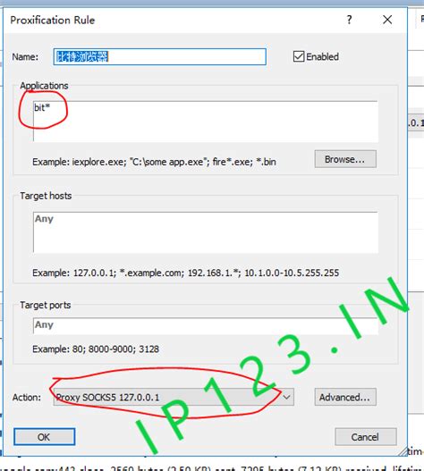 IP234 Professional Global IP Information Query