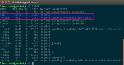 How To Check Real USB Capacity In Linux Terminal LinuxBabe