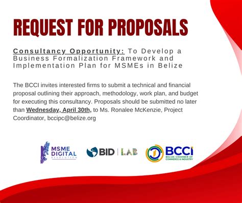 Bcci Consultancy Opportunity To Develop A Business Formalization Framework And Implementation