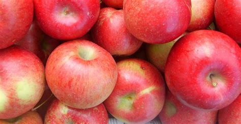 Opencv Haar Cascade Training Positive Images Size Stack Overflow