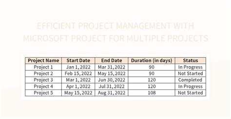 Efficient Project Management With Microsoft Project For Multiple Projects Excel Template And