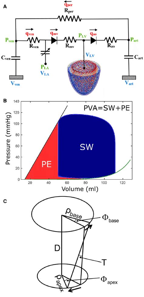 Define Schematic Diagram Of Circulation Circuit Diagram