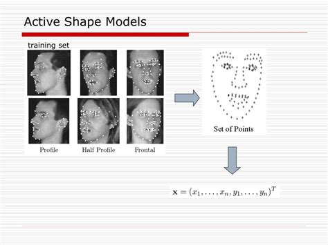 Ppt Point Distribution Models Active Appearance Models Powerpoint Presentation Id4538005