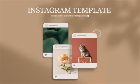 Design Any Editable Canva Template Using Canva By Canvadesign01 Fiverr