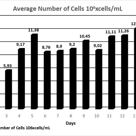Microscopic View Of The N Oculata Algae Used In The Experiment Download Scientific Diagram