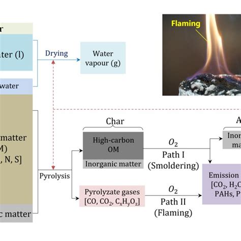 Possible Reaction Paths For Flaming And Smoldering Combustion Of Peat