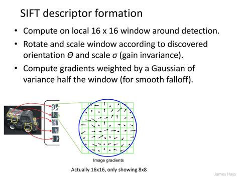 Local Features Main Components Ppt Download