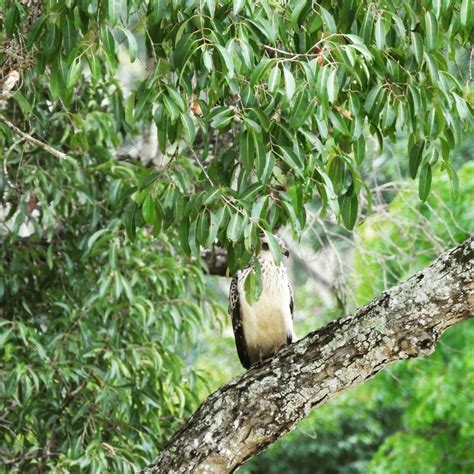 Aswin Sai K V Aswinsaikv • Instagram Photos And Videos