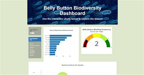 Github Rubadhanaraj Belly Button Biodiversity