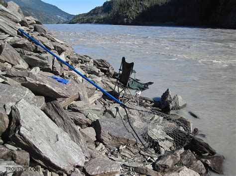 Dipnetting For Sockeye Salmon In The Copper River At Chitina Alaska