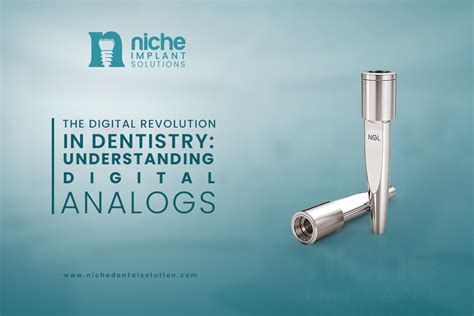 Digital Analog You Can Find It In Niche Order It Now