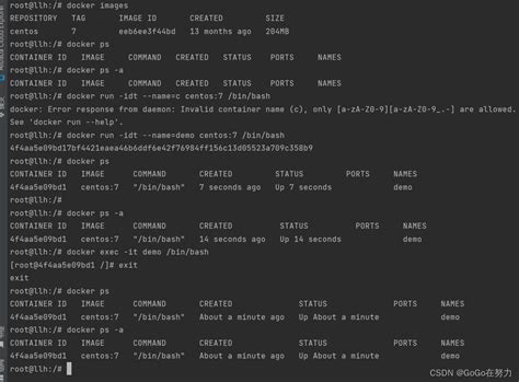 Docker Exec As Root Docker Execute Command In Container Xncuc