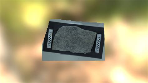 Paleozoic Fossil Hash Plate D Model By Jarve E Sketchfab