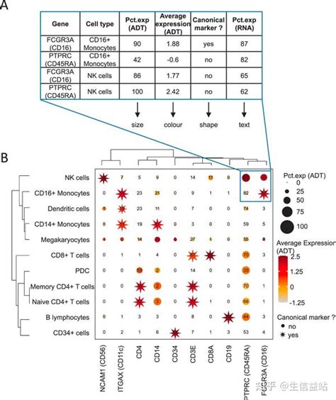 Seurat Dotplot 美化—单细胞绘图美化工具推荐（三） 知乎