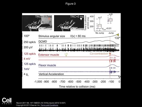Multiplexing Of Motor Information In The Discharge Of A Collision
