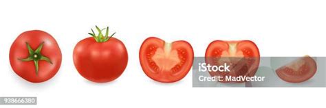 3d 현실 다른 토마토 아이콘 설정된 근접 흰색 배경에 고립 된 벡터 전체 분기 토마토와 평면도의 절반 디자인 서식 파일 클립 아트 그래픽 3차원 형태에 대한 스톡 벡터