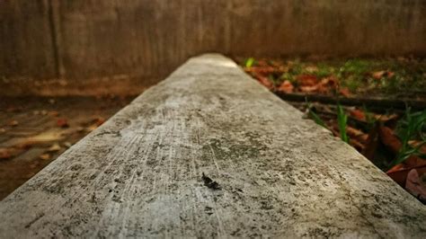 Premium Photo Concrete Ledge