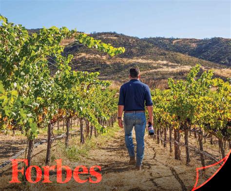 Press Orin Swift Cellars And Winery