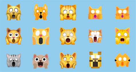 🙀 Weary Cat On Twitter X January 2025 Update