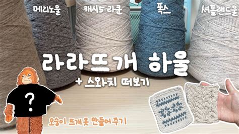 뜨개실 하울 라라뜨개 하울ㅣ오숭이 뜨개옷 선물하기ㅣ올드패션드 가디건 포슬린 스웨터 스와치 떠보기 Youtube