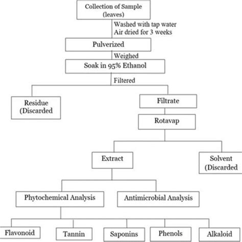 Schematic Diagram For The Phytochemical And Antimicrobial Analysis