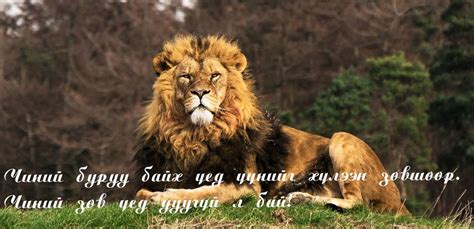 Эерэг хандлага Эерэг сэтгэлгээ