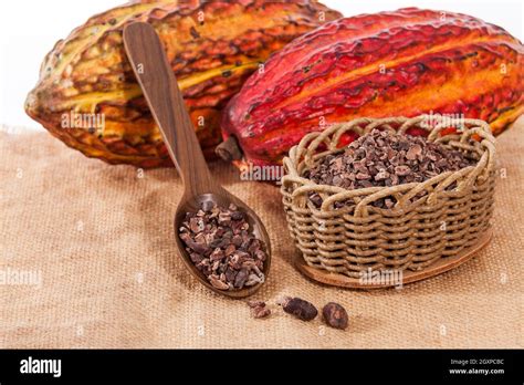 Theobroma Cacao Dried Crushed Cocoa Beans With Fruit Stock Photo Alamy