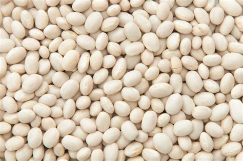 Beans Are One Of The Healthiest Foods You Can Eat—here Are The Best