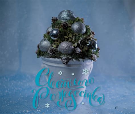 С Рождеством Христовым Пусть светлый праздник наполнит дом теплом и радостью пусть близкие люди