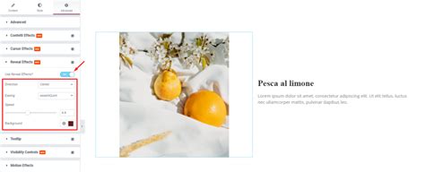 how to use reveal effects extension in elementor page builder