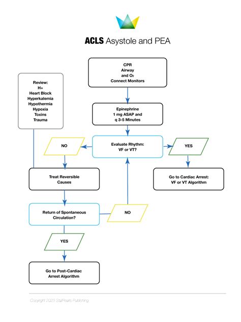 Sudden Cardiac Death Treatment And Management Point Of Care