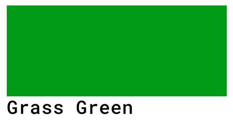 Grass Green Color Codes HEX RGB CMYK