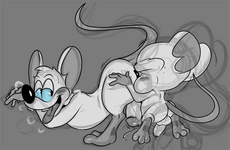 Rule 34 Absurd Res All Fours Anal Anthro Ass Ass Up Balls Blush